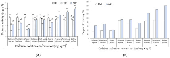 Characteristics of Enzyme Activities during Phytoremediation of Cd ...