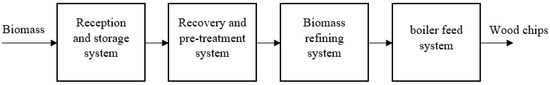 Economic and Environmental Assessment of Biomass Power Plants in ...