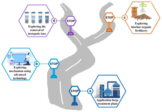 A Review on Application of Biochar in the Removal of Pharmaceutical ...