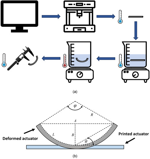 Bioinspired Pattern-Driven Single-Material 4D Printing for Self ...