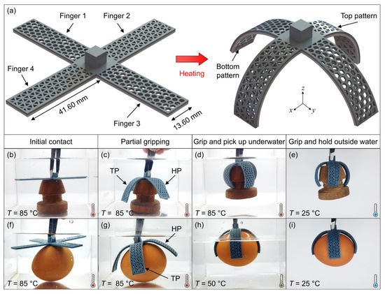 Bioinspired Pattern-Driven Single-Material 4D Printing for Self ...