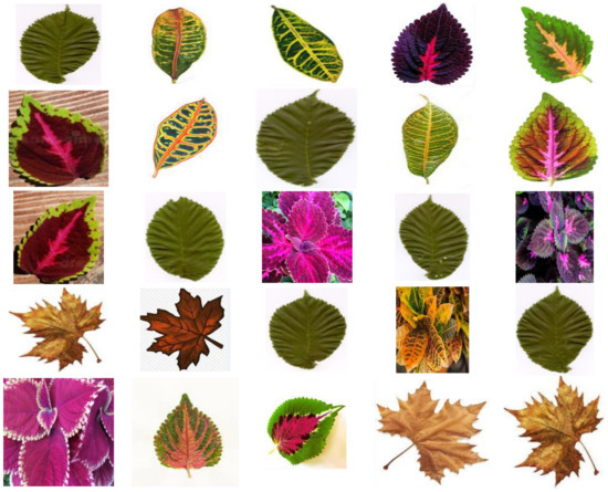 An Image Retrieval Framework Design Analysis Using Saliency Structure and Color Difference Histogram