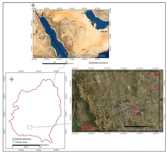 Flash Flood Assessment and Management for Sustainable Development Using ...