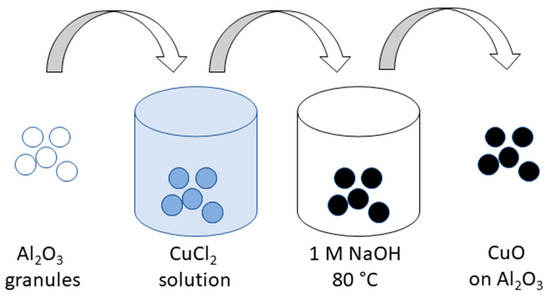 Green Synthesis of Immobilized CuO Photocatalyst for Disinfection of Water