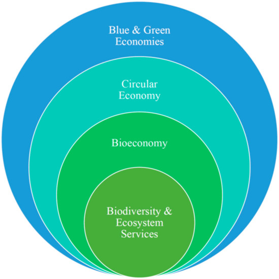 Bioeconomy and Circular Economy Approaches Need to Enhance the Focus on Biodiversity to Achieve ...