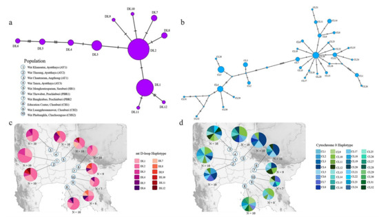 Sustainability | Free Full-Text | Evidence of Genetic Connectivity ...