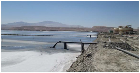 Sustainability | Free Full-Text | Sustainable Management of Thickened ...