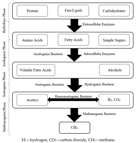 Aerobic Granular Sludge as a Substrate in Anaerobic Digestion—Current ...