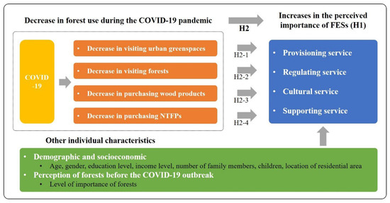 Impact of Changes in Forest Use Caused by the COVID-19 Pandemic on the ...