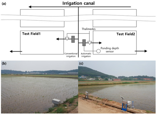 Evaluation of Automatic Irrigation System for Rice Cultivation and ...