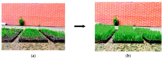 Design and Experiment of Substrate Grass Seed Blanket Extrusion Device