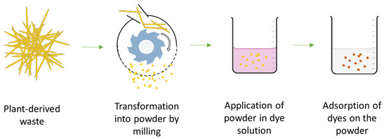 Sustainable Adsorbents from Plant-Derived Agricultural Wastes for ...