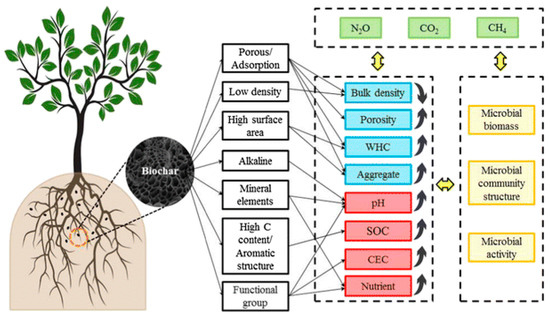 Sustainability | Free Full-Text | Application of Biochar for Improving ...