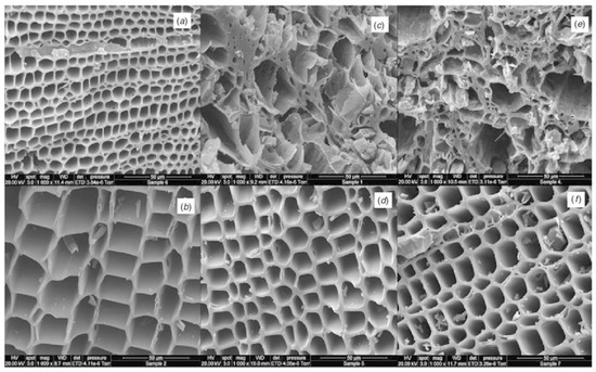 Sustainability | Free Full-Text | Application of Biochar for Improving Physical, Chemical, and ...