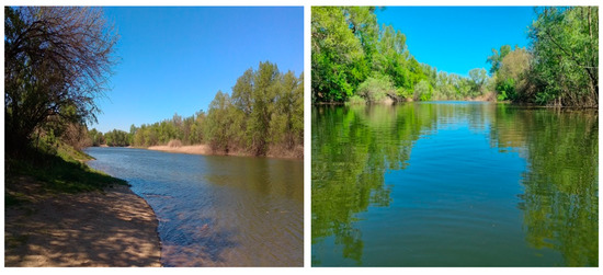 Assessment of Ecosystem Services of Wetlands of the Volga–Akhtuba ...