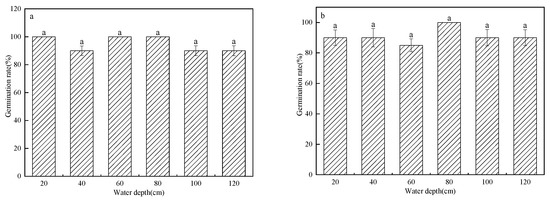 The Effects of Water Depth on the Growth of Two Emergent Plants in an ...