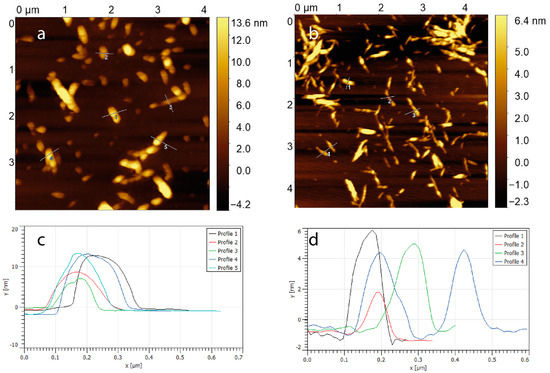 Nanocellulose Extracted from Paraguayan Residual Agro-Industrial ...