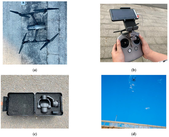 Sustainability | Free Full-Text | Investigating the Factors Affecting ...