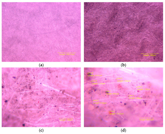 Morphological and Chemical Characterization of Particulate Matter from ...