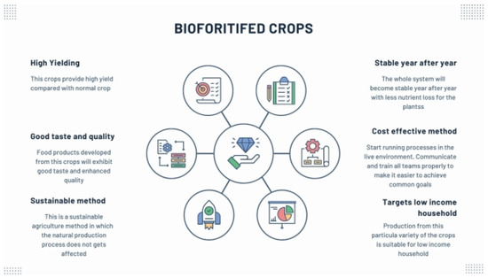 Biofortification—Present Scenario, Possibilities and Challenges: A ...