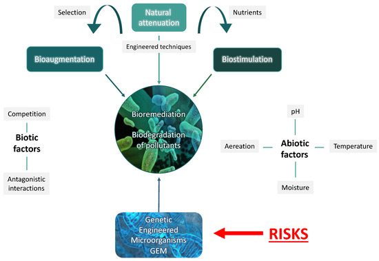 Get Rid of Marine Pollution: Bioremediation an Innovative, Attractive, and Successful Cleaning ...