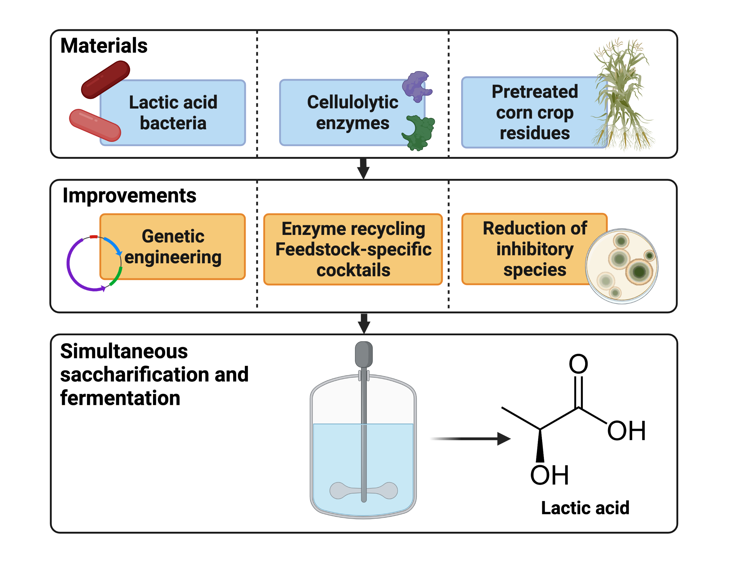 Sustainability | Free Full-Text | Bioconversion of Corn Crop Residues: Lactic Acid Production ...