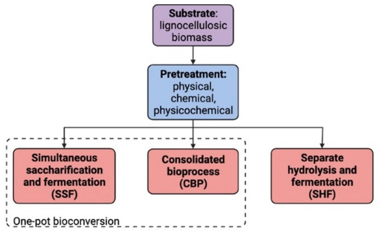 Sustainability | Free Full-Text | Bioconversion of Corn Crop Residues: Lactic Acid Production ...