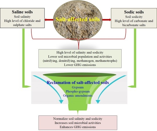 Sustainability | Free Full-Text | Greenhouse Gas Emissions from Salt ...