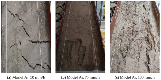 Soil Reinforcement with Geocells and Vegetation for Ecological ...