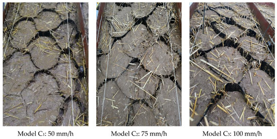 Soil Reinforcement with Geocells and Vegetation for Ecological ...