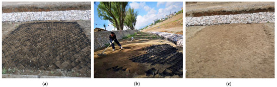 Soil Reinforcement with Geocells and Vegetation for Ecological ...