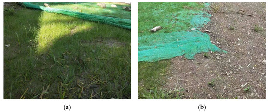 Soil Reinforcement with Geocells and Vegetation for Ecological ...