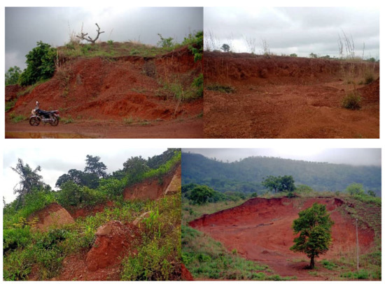 Prediction of Spatial Likelihood of Shallow Landslide Using GIS-Based Machine Learning in Awgu ...