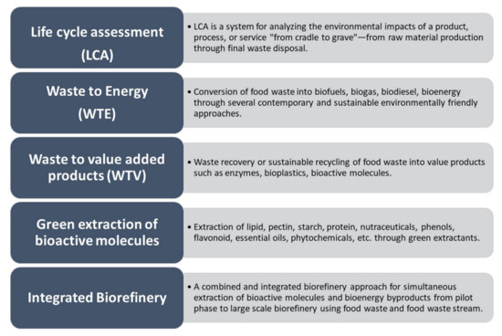 Sustainable Food Waste Recycling for the Circular Economy in Developing ...