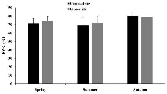 Photosynthetic Behavior of Argania spinosa (L.) Skeels Induced under ...