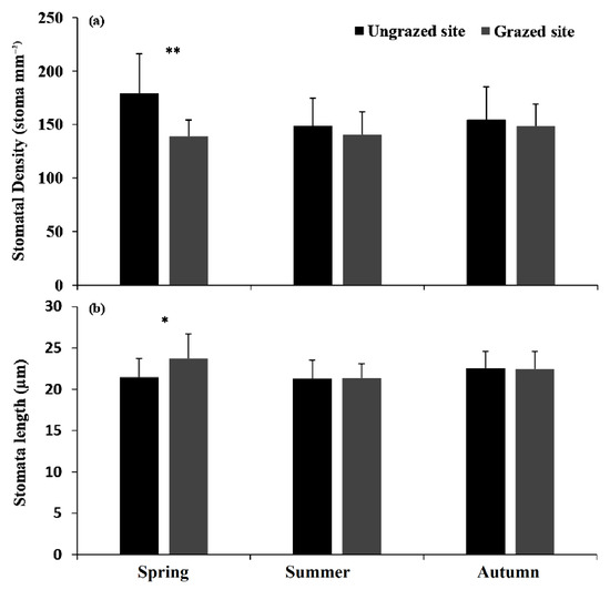 Photosynthetic Behavior of Argania spinosa (L.) Skeels Induced under ...