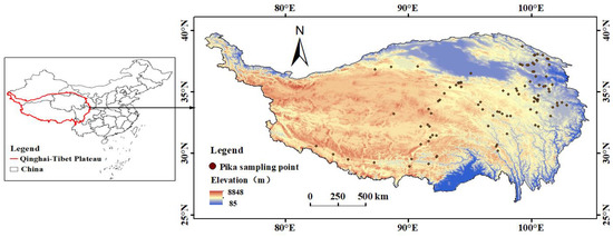 Prediction of Suitable Distribution Area of Plateau pika (Ochotona ...