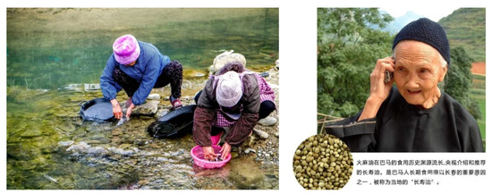 Study on the Construction of a Health Lifestyle for Older People in the ...