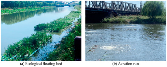 Water Purification Effect of Ecological Floating Bed Combination Based ...