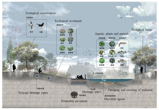 Increasing Sustainability Literacy for Environmental Design Students: A ...