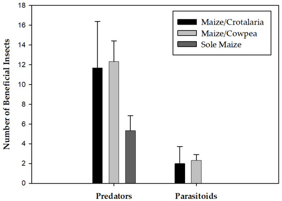 Effect of Maize–Legume Intercropping on Maize Physio-Agronomic ...