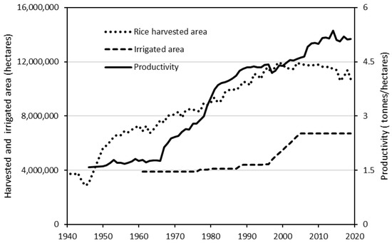 Indonesia Rice Irrigation System: Time for Innovation