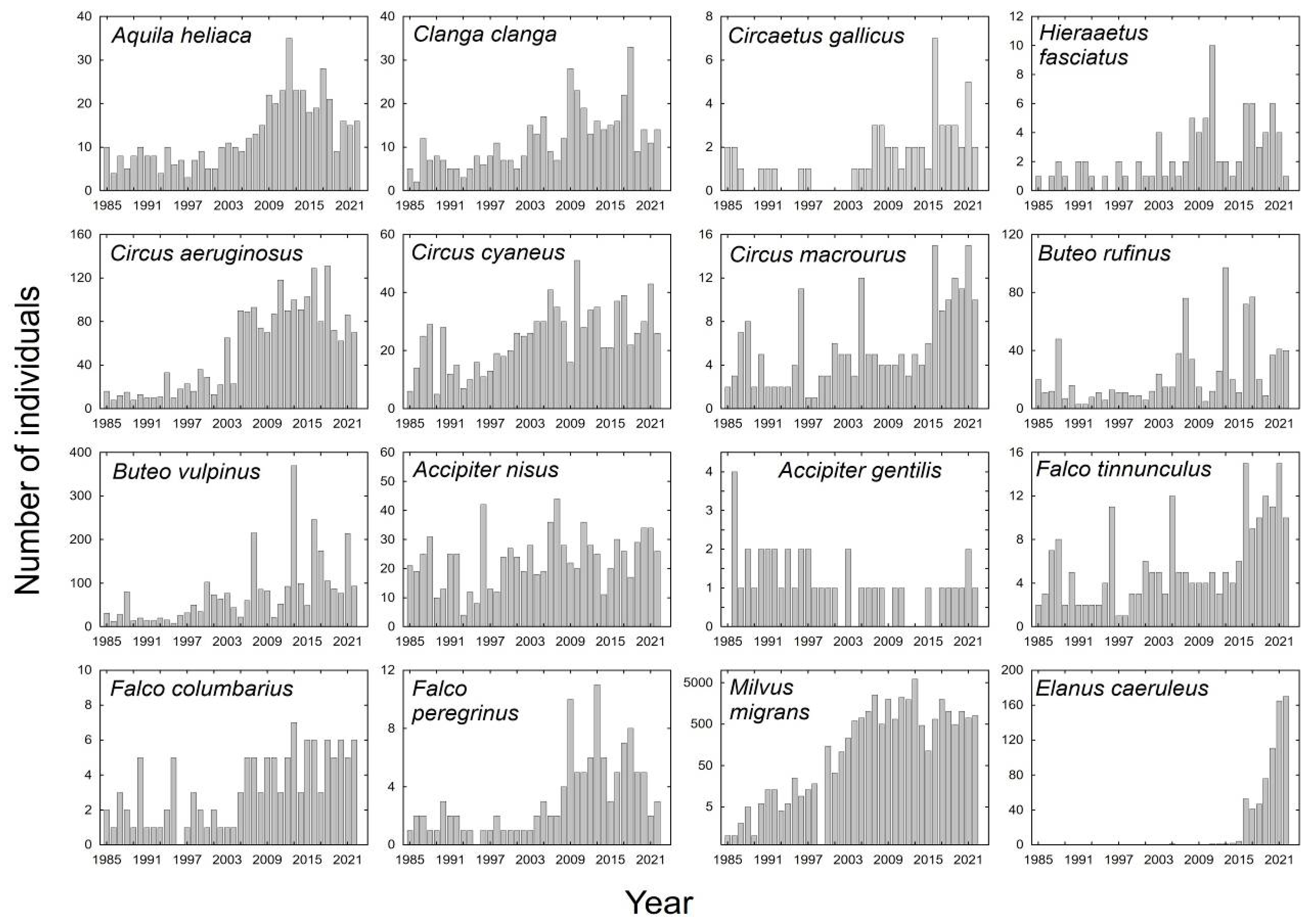 Sustaining Increasing Wintering Raptor Populations in Central Israel: A ...