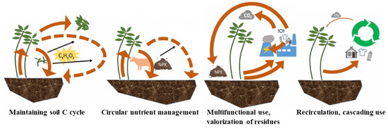 Defining Circular Economy Principles for Biobased Products