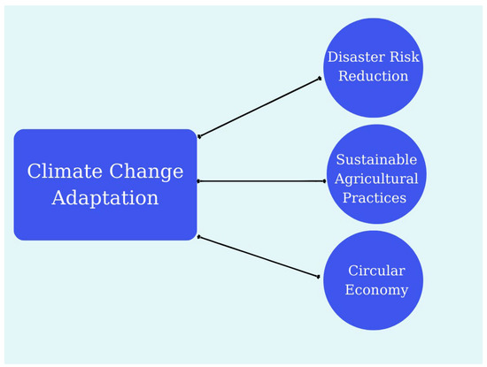 A Scientometric Analysis of Climate Change Adaptation Studies