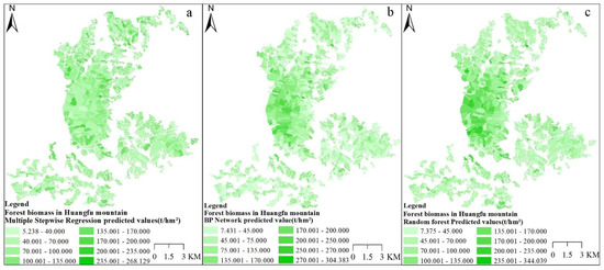 Modeling Biomass for Natural Subtropical Secondary Forest Using Multi ...