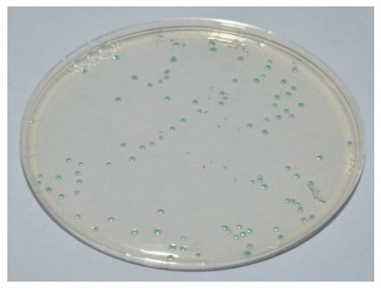 Early Detection of Bacterial Blight in Hyperspectral Images Based on ...
