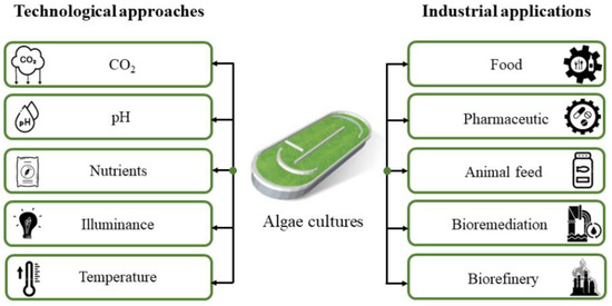 Sustainability | Free Full-Text | Microalgae Cultivated under Magnetic Field Action: Insights of ...