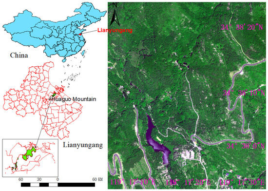 Classifying Vegetation Types in Mountainous Areas with Fused High Spatial Resolution Images: The ...