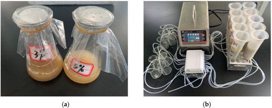 Optimization of Urease Production Capacity of a Novel Salt-Tolerant ...